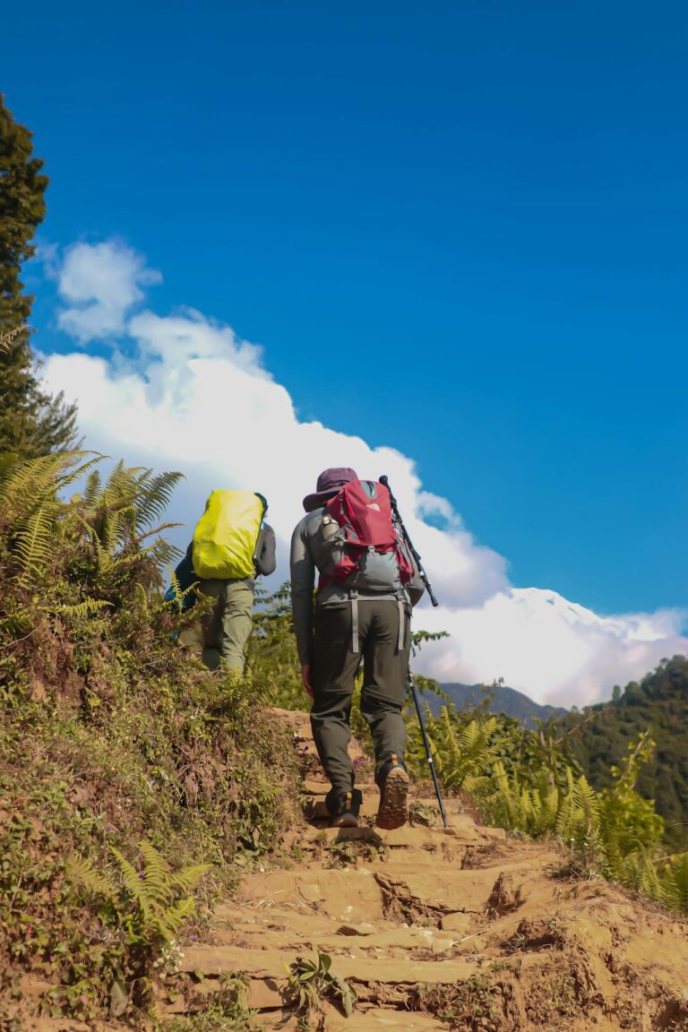 ¡Descubre qué es hiking y embárcate en una aventura al aire libre ...